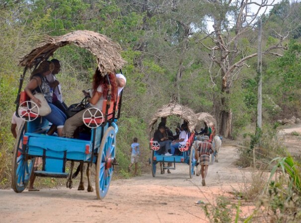 All Inclusive - Dambulla Village Tour with Sri Lankan Lunch